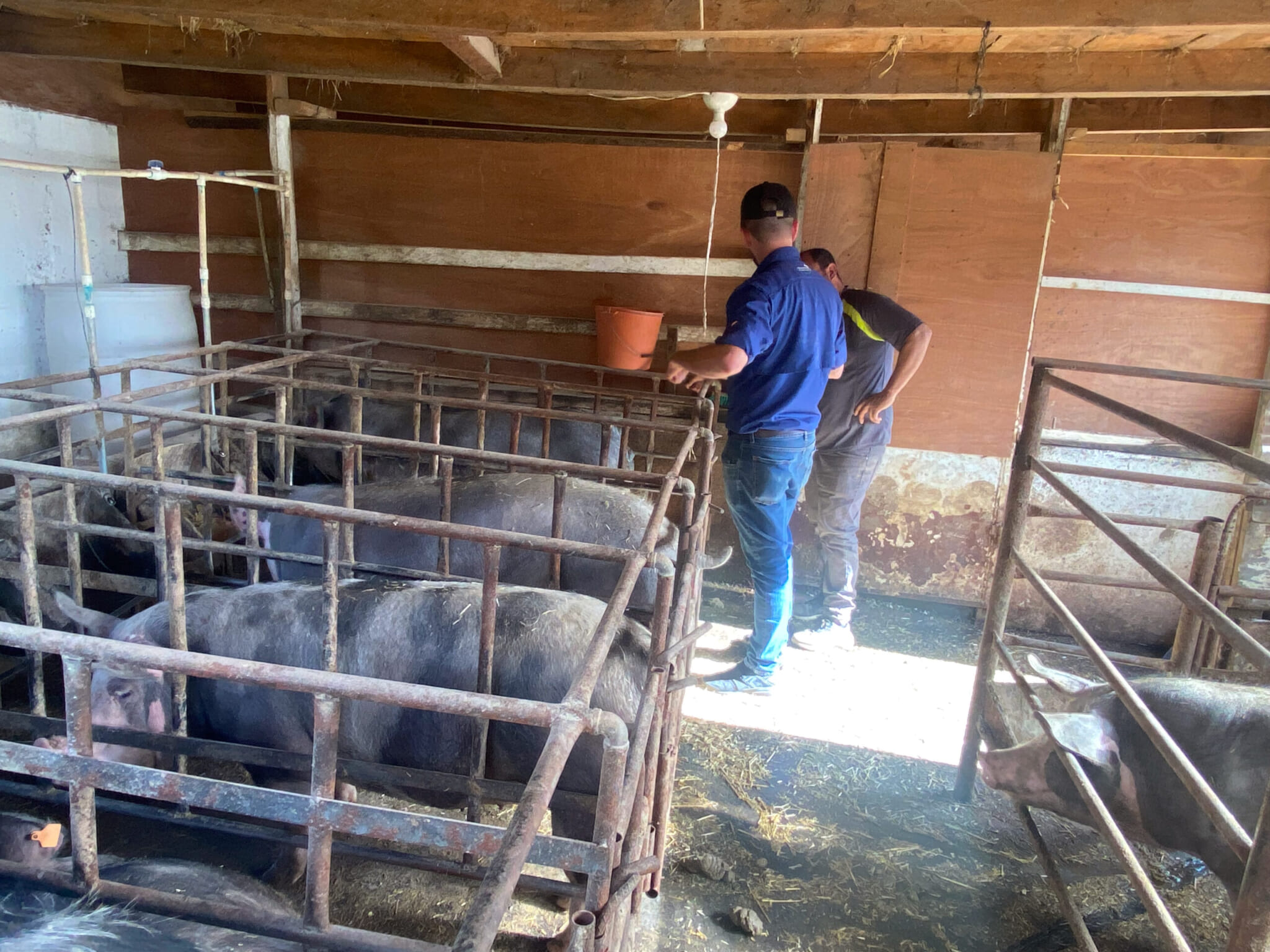 GRANJAS MAYSOL | ソーシャルビジネス事業紹介 | ボーダレス・ジャパン